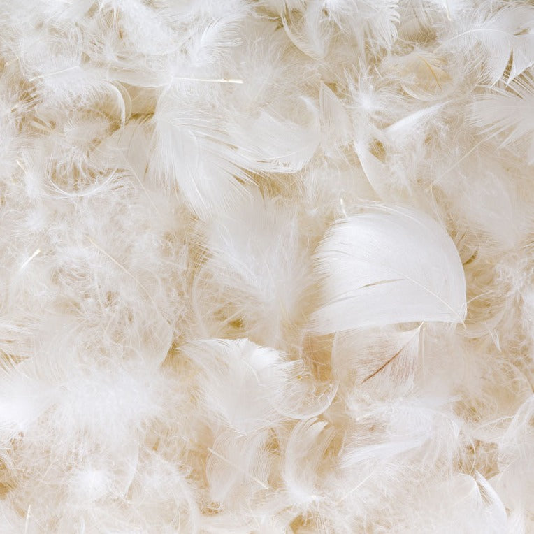100% Duck Feather Bulk | Hypo-allergenic Duck Feather | Puradown